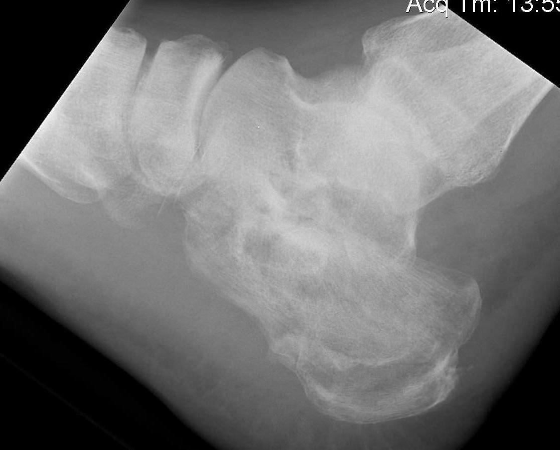 Management | The Bone School